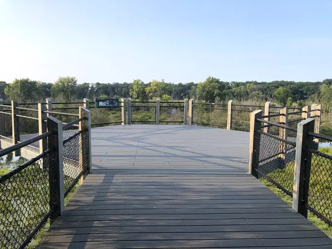 Canopy Walkway at Galien River County Park 9
