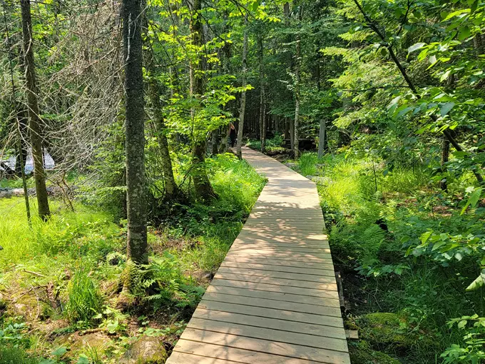 Canyon Gorge Trail at Canyon Falls Roadside Park 4