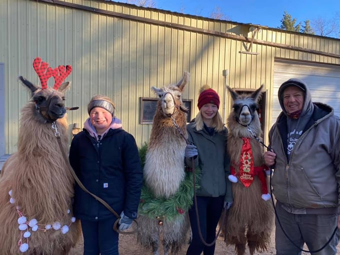 Carlson's Llovable Llamas 8