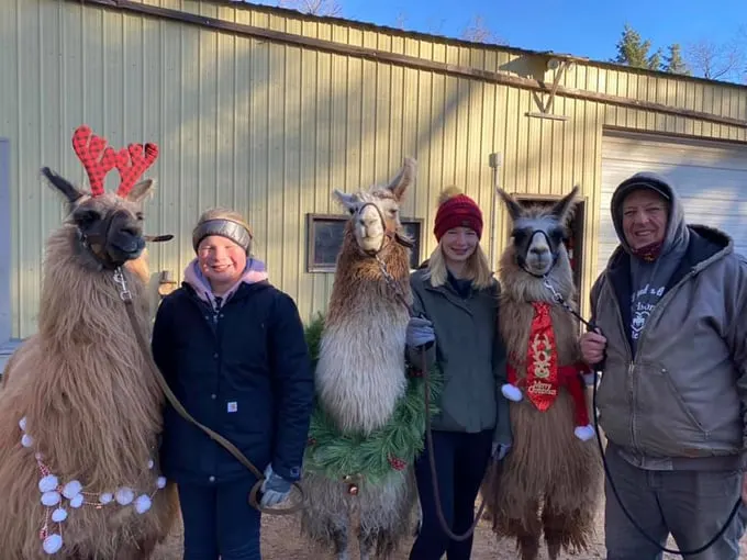 Carlson's Llovable Llamas 8