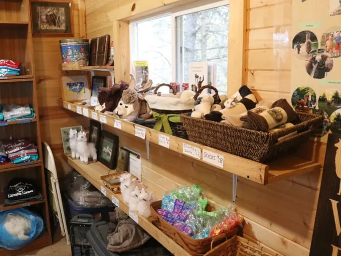 Carlson's Llovable Llamas 9