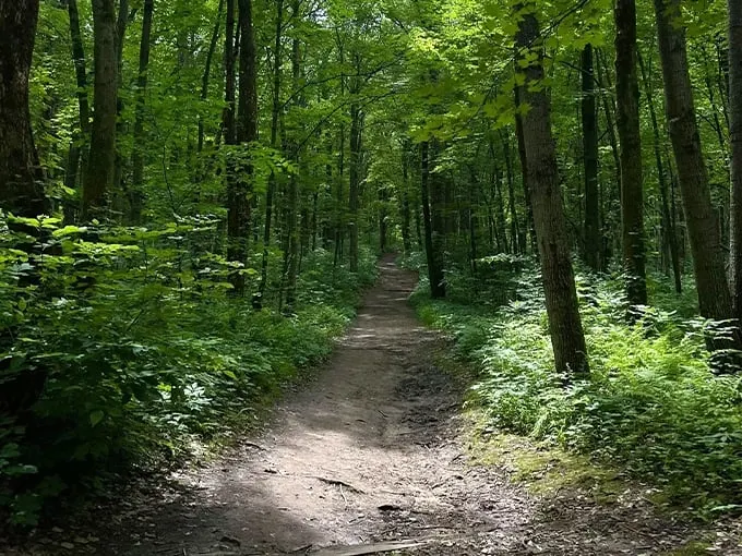 Chapel Gorge Trail 1