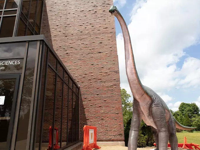 Dinosaur Park 1