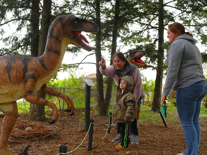 Dinosaur Park 2