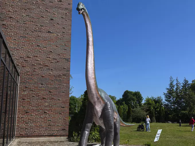Dinosaur Park 3