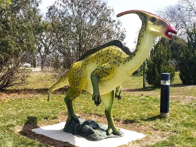 Dinosaur Park 4