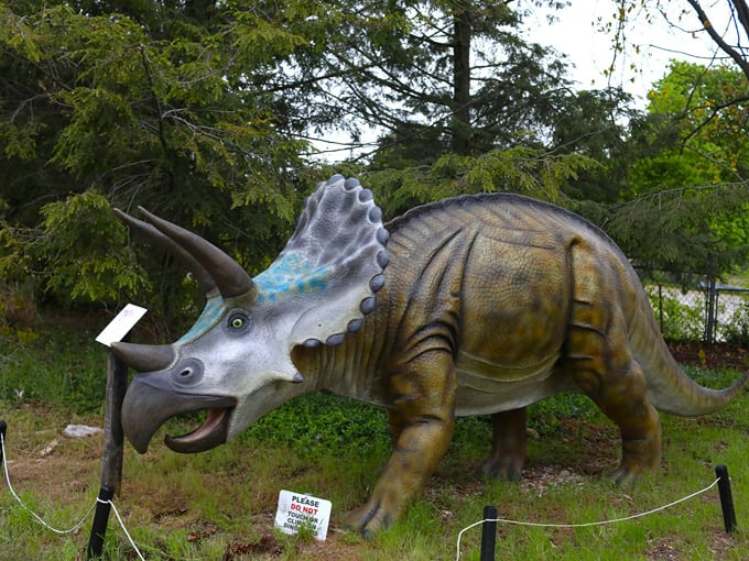 Dinosaur Park 5