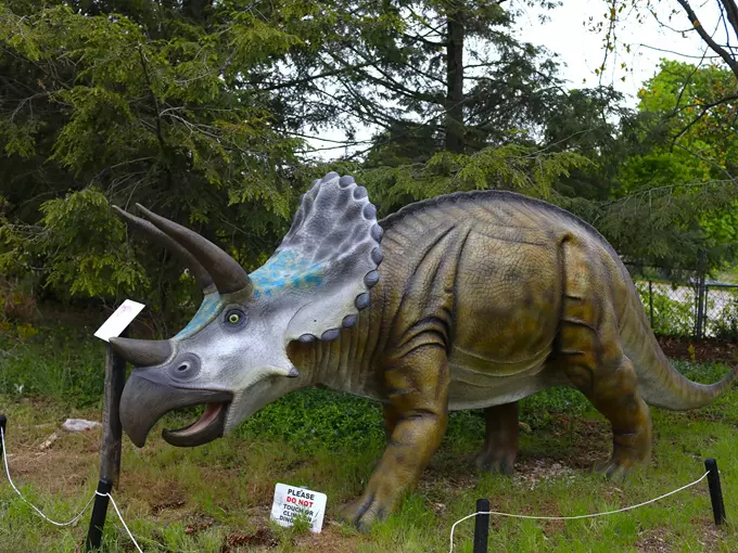 Dinosaur Park 5