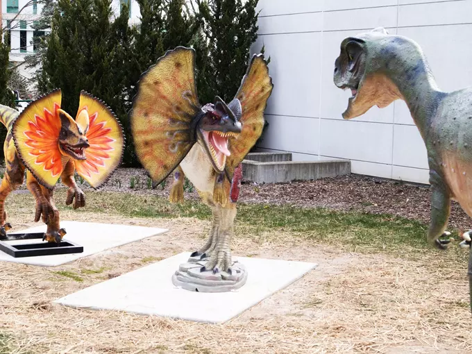 Dinosaur Park 6