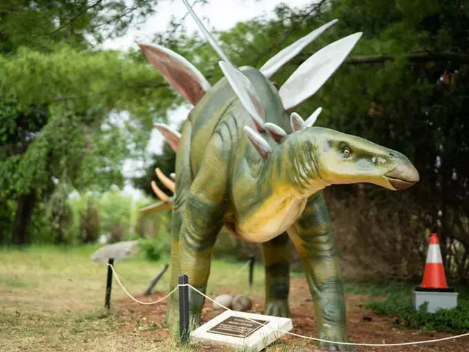Dinosaur Park 7