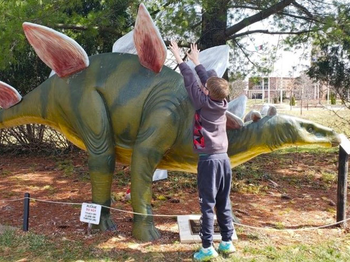 Dinosaur Park 9