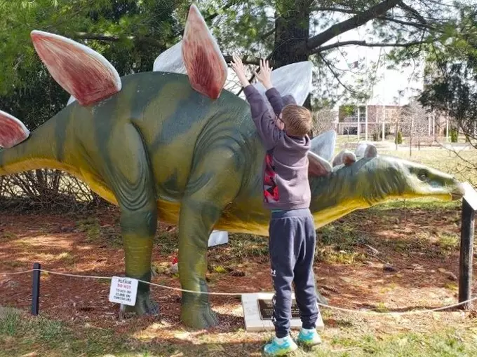 Dinosaur Park 9