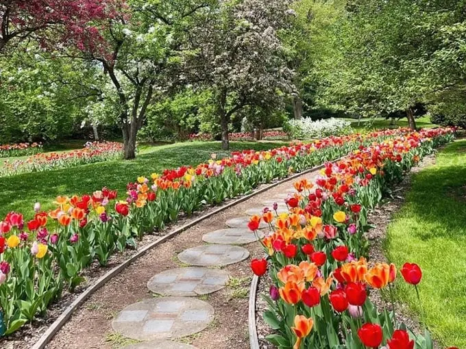 dow gardens 10