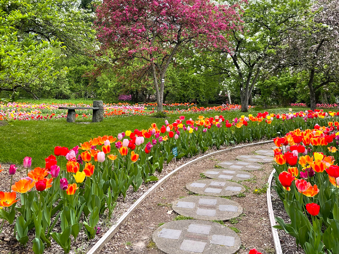 Dow Gardens 2
