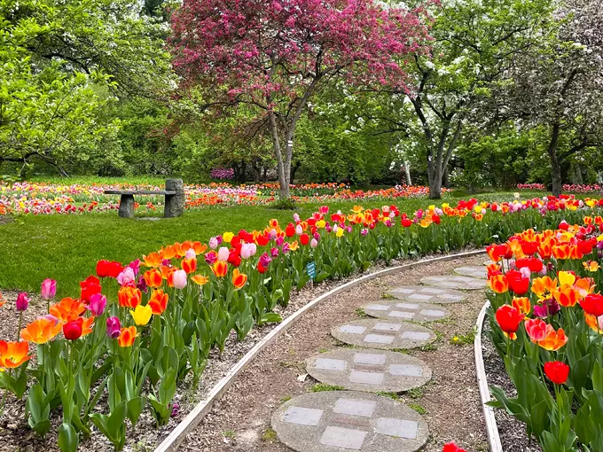 Dow Gardens 2