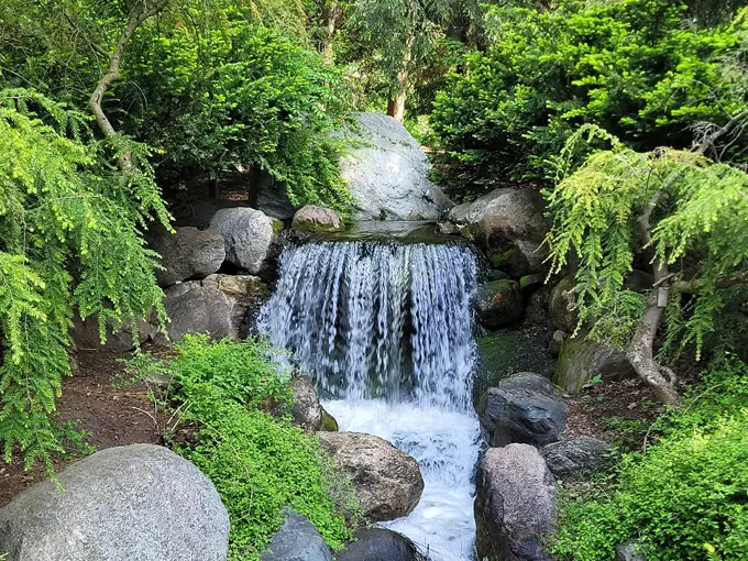 Dow Gardens 4