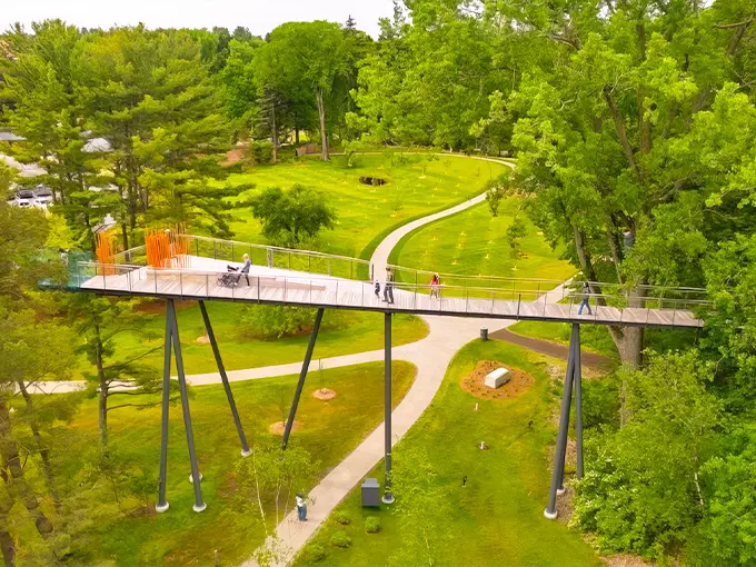 Dow Gardens Canopy Walk 1