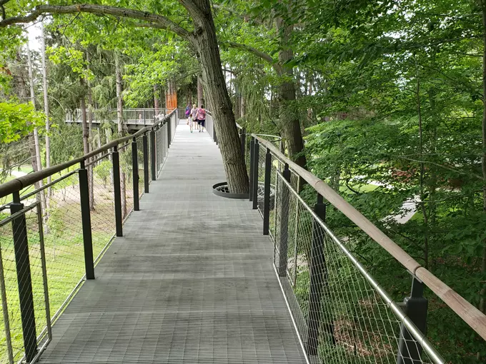 Dow Gardens Canopy Walk 2