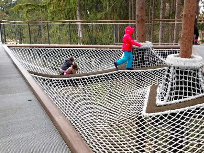 Dow Gardens Canopy Walk 3