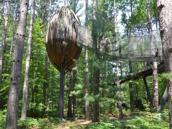 Dow Gardens Canopy Walk 4