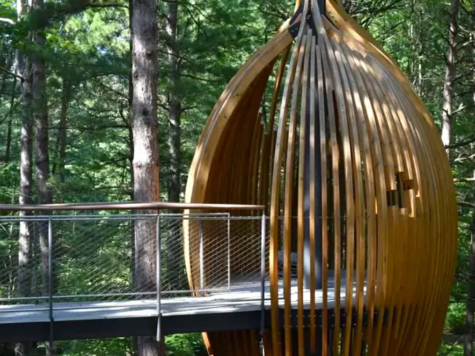 Dow Gardens Canopy Walk 5