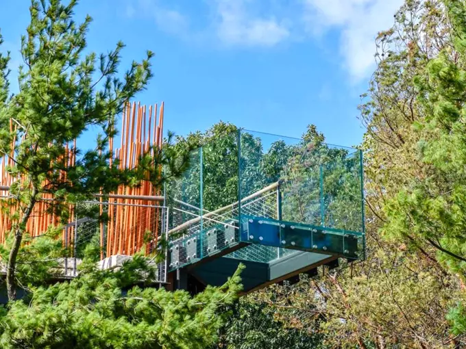 Dow Gardens Canopy Walk 6