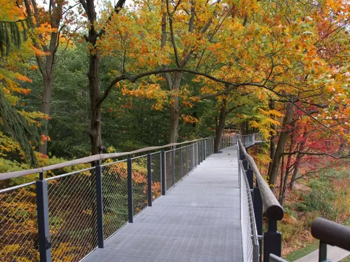 Dow Gardens Canopy Walk 7