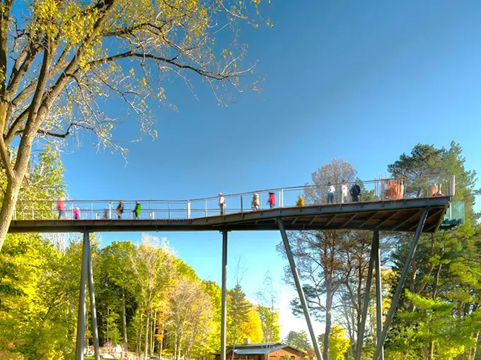 Dow Gardens Canopy Walk 8