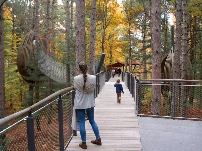 Dow Gardens Canopy Walk 9