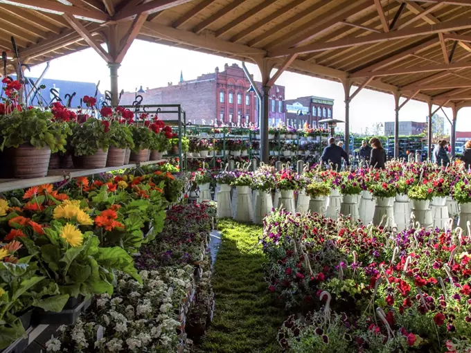 Eastern Market 4