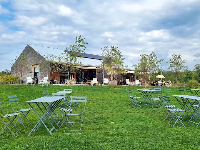 Farm Club 1