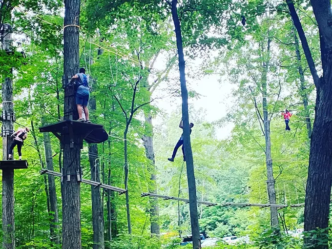 Frankenmuth Aerial Park 1