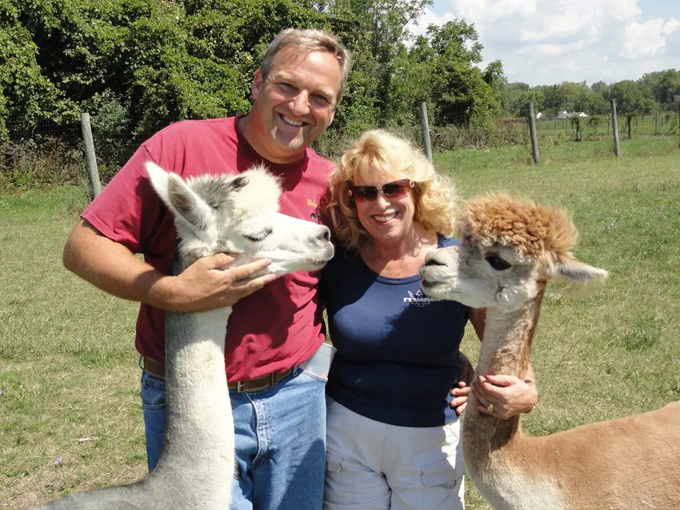 Gibraltar Bay Alpacas 9