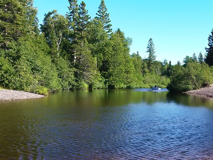 Gratiot River County Park 4