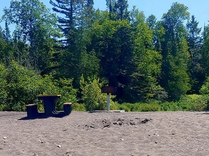 Gratiot River County Park 8