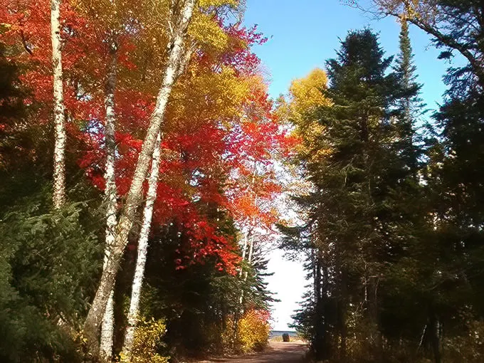 Gratiot River County Park 9