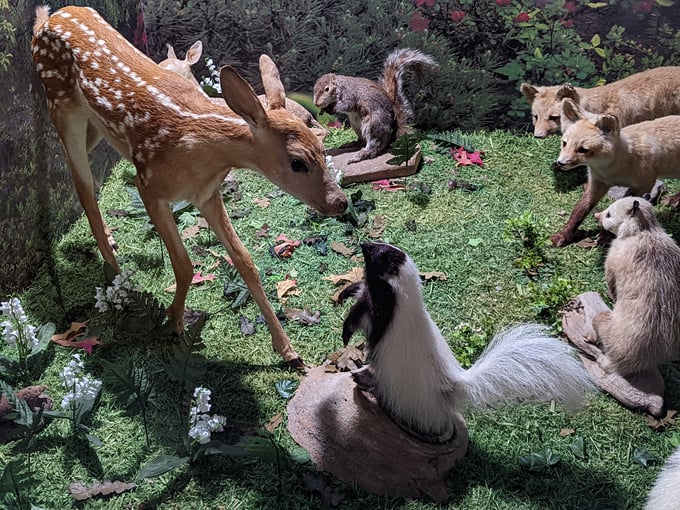 Guntzviller's Spirit of the Woods Museum 4