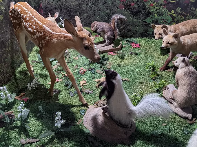 Guntzviller's Spirit of the Woods Museum 4