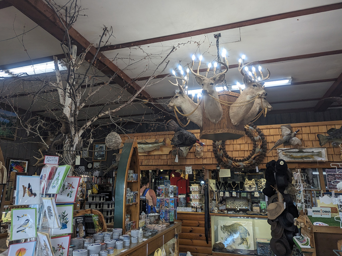 Guntzviller's Spirit of the Woods Museum 5