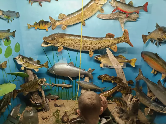 Guntzviller's Spirit of the Woods Museum 7