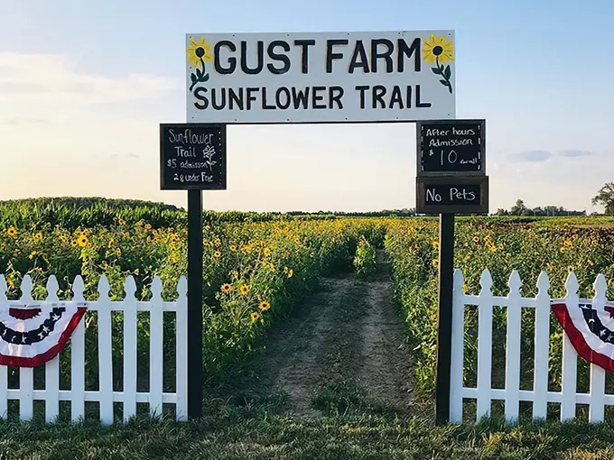 Gust Flower and Produce Farm 1