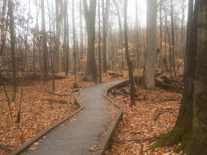 Haven Hill 1