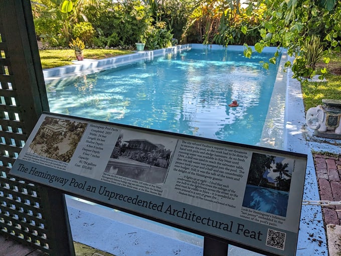 Hemingway Home and Museum 7