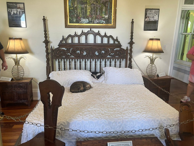 Hemingway Home and Museum 9