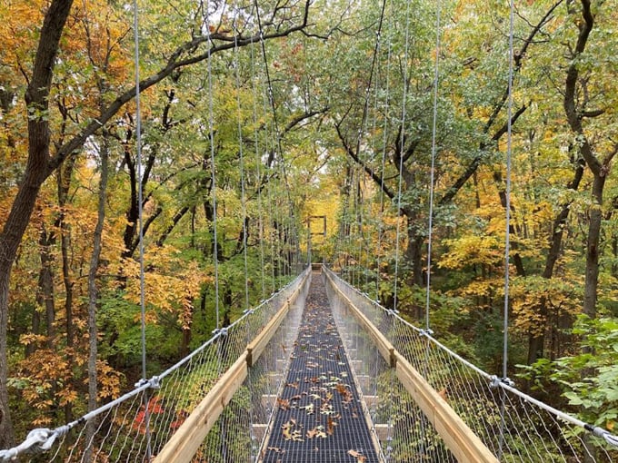 Hidden Lake Gardens - Reach for the Sky Canopy Walk 1