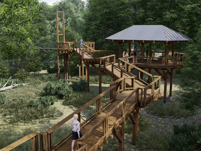 Hidden Lake Gardens - Reach for the Sky Canopy Walk 2