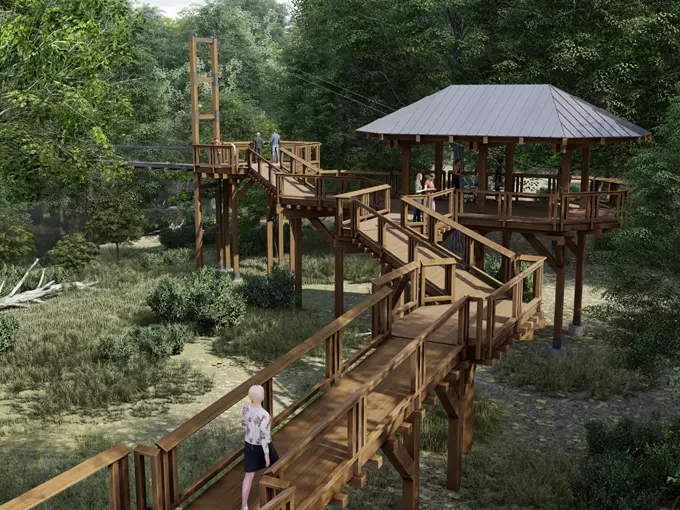Hidden Lake Gardens - Reach for the Sky Canopy Walk 2
