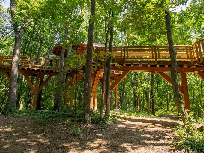 Hidden Lake Gardens - Reach for the Sky Canopy Walk 3
