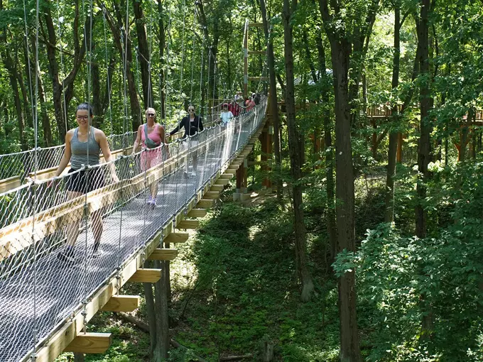 Hidden Lake Gardens - Reach for the Sky Canopy Walk 4