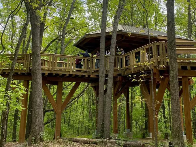 Hidden Lake Gardens - Reach for the Sky Canopy Walk 5